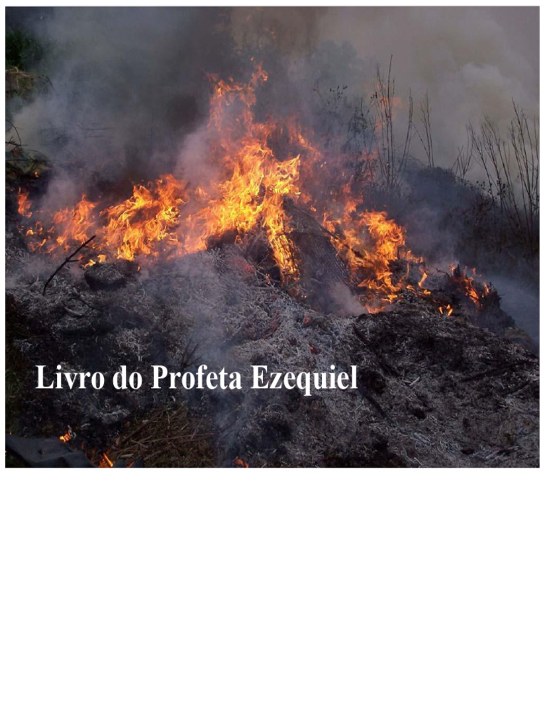 Libro Del Profeta Ezequiel Pdf Ezequiel
