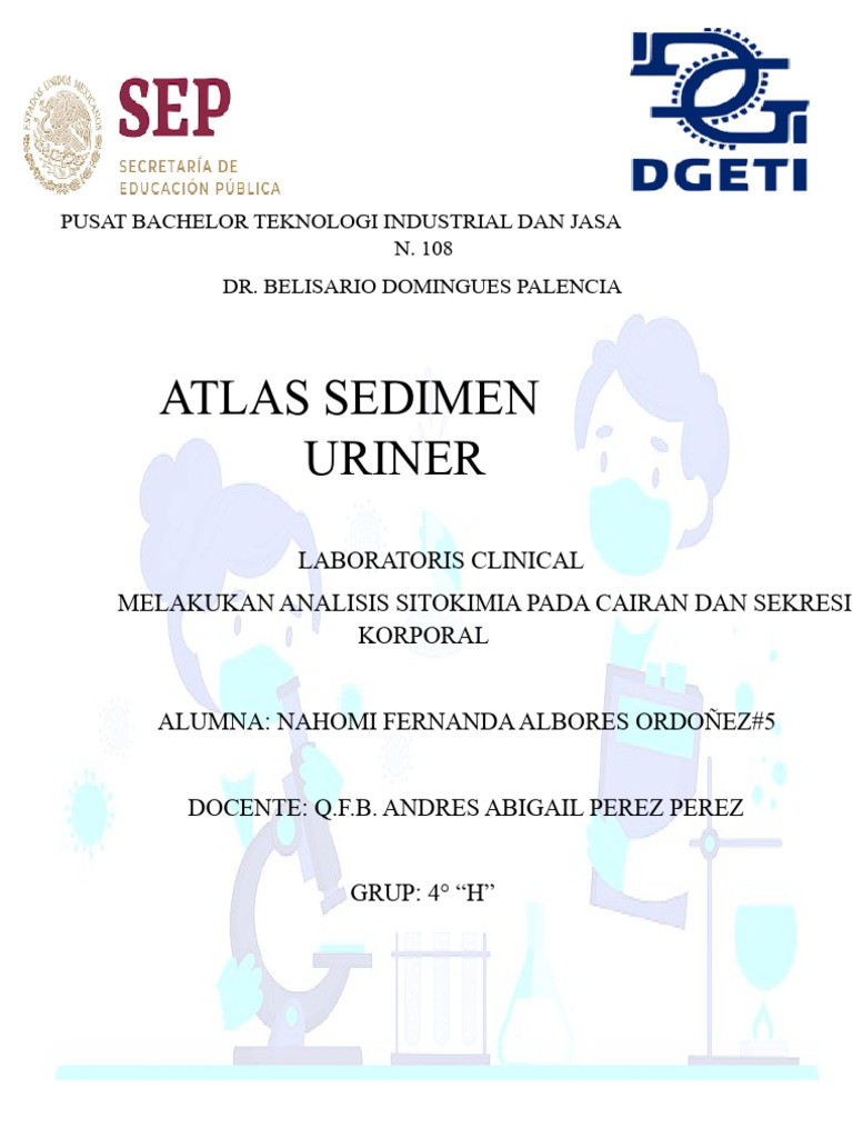 Atlas Sedimen Urin | PDF