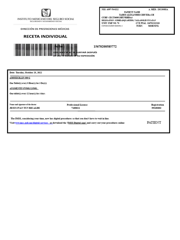 Editable IMSS Recipe | PDF