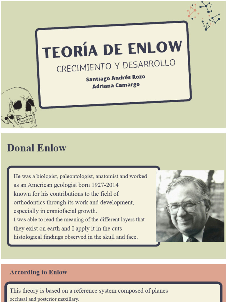 Enlow | PDF | Skull | Human Head And Neck