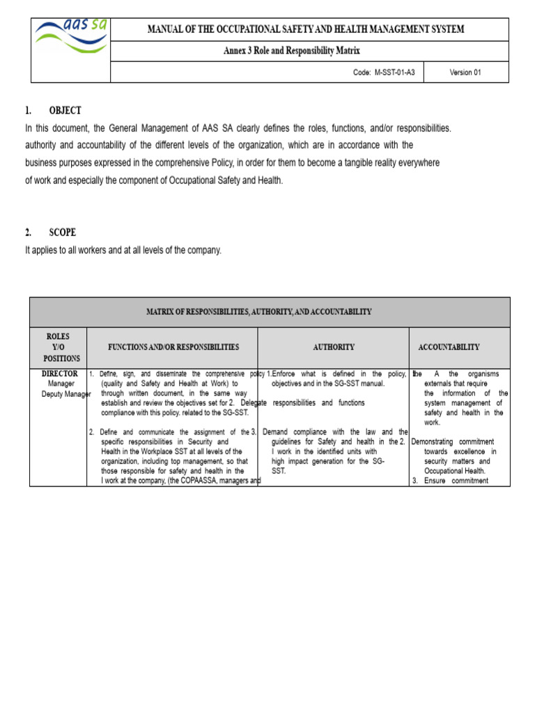 Roles and Responsibilities in Safety Management | PDF | Occupational ...