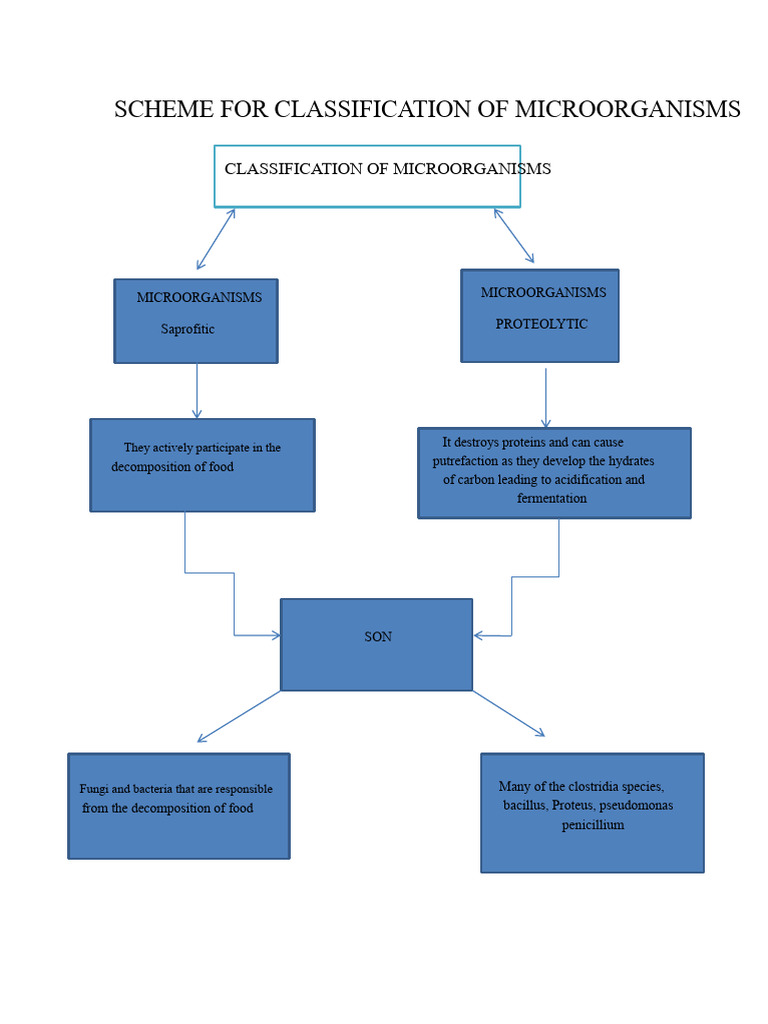 Microorganism Classification Scheme | PDF