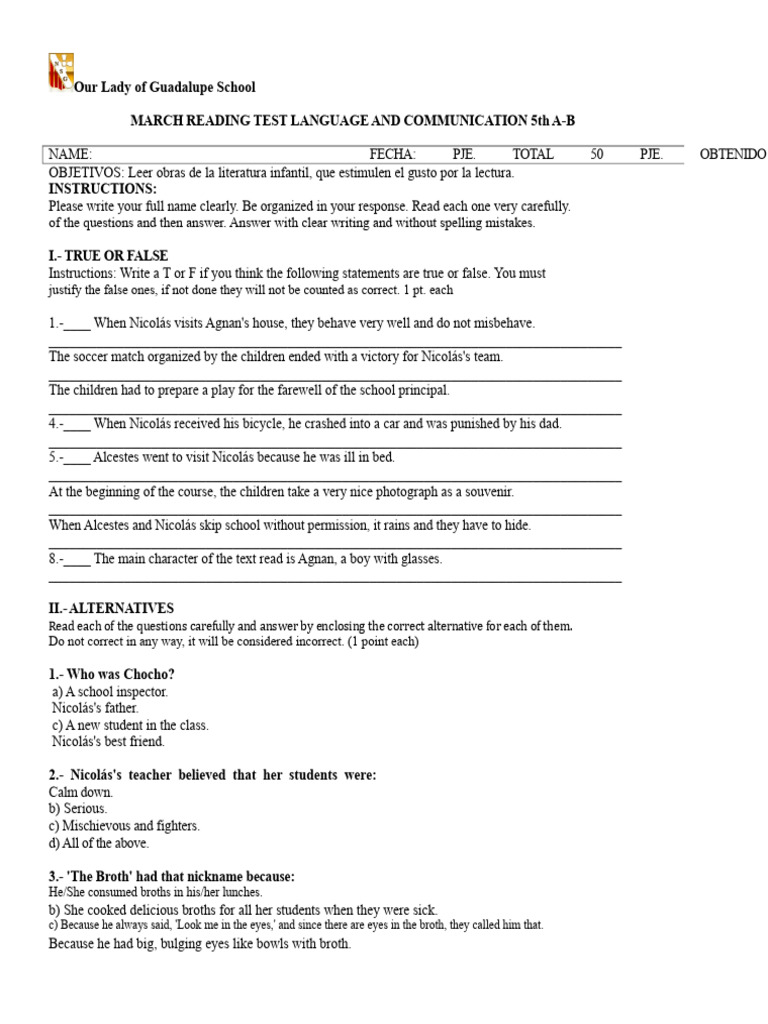 Test The Little Nicolas with Answers | PDF