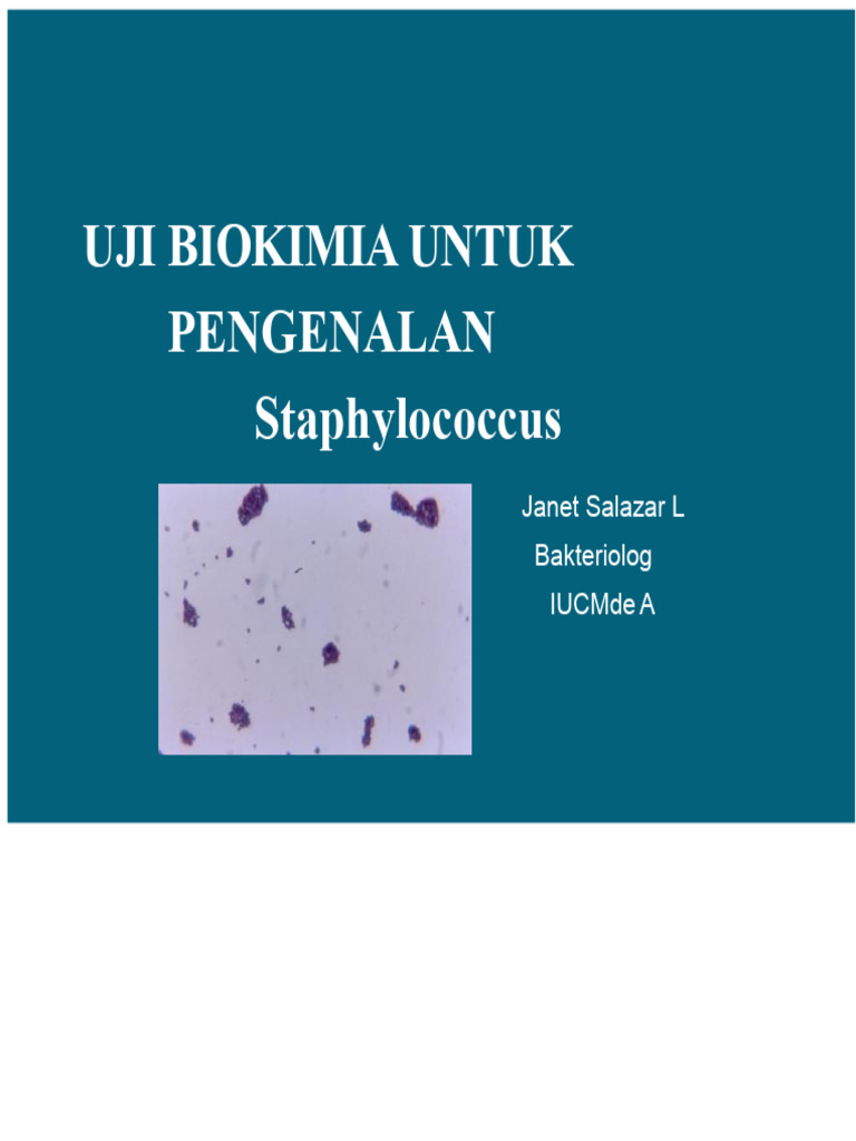 78 UJI BIOKIMIA UNTUK IDENTIFIKASI Staphylococcus | PDF