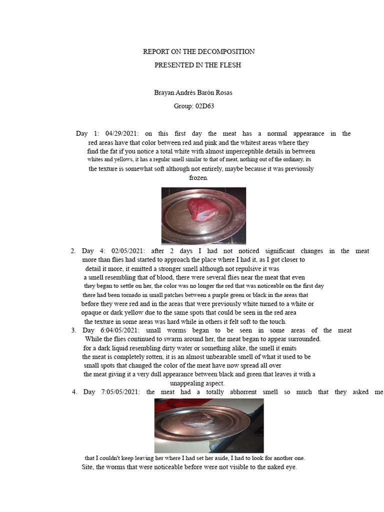 Meat Decomposition Report: Day-by-Day Analysis | PDF | Decomposition | Odor