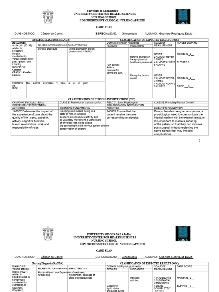 Care Plan Template | PDF | Dehydration | Pain