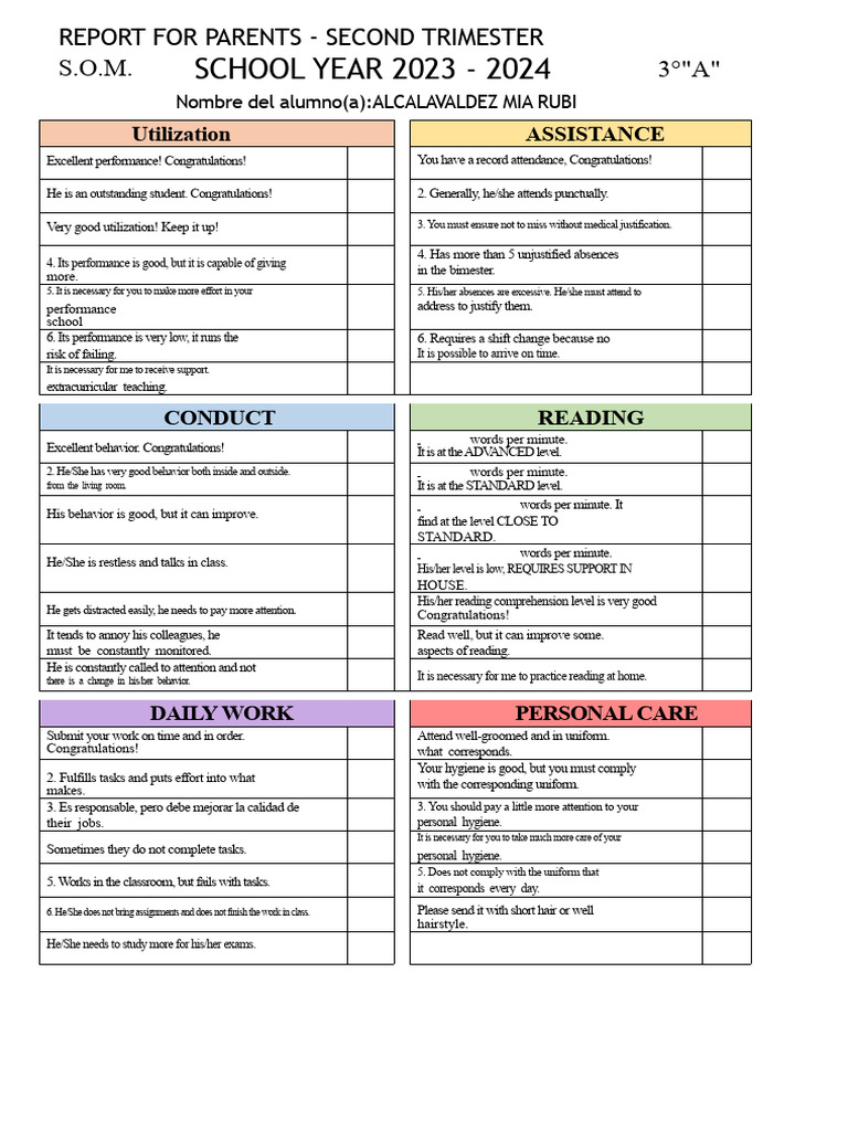 School Report | PDF | Attention | Cognition