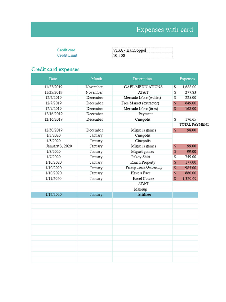 Excel Sheet For Credit Card Expenses | PDF | Credit Card | Payments