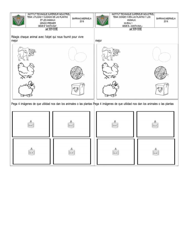 UTILITÉ ET SOINS DES PLANTES ET DES ANIMAUX.docx | PDF