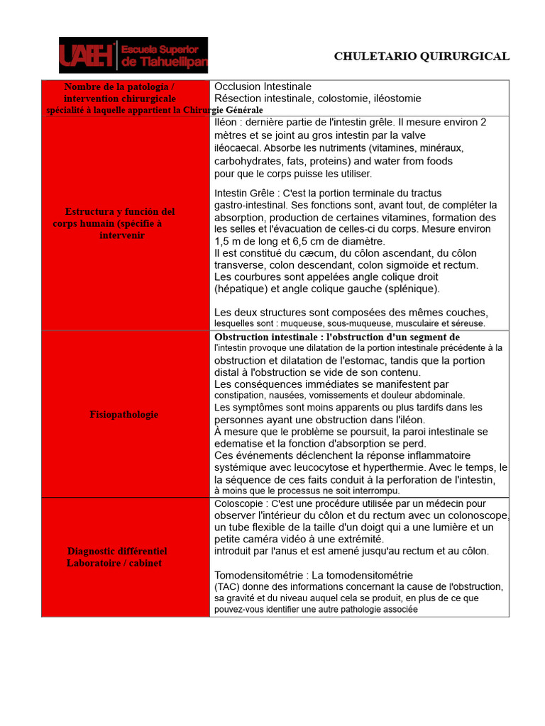 Chirurgie de La Collation, Résection Intestinale, Colostomie ...