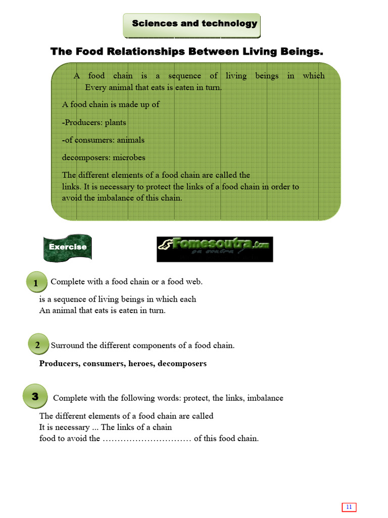 SVT - Food Relationships Between Living Beings | PDF
