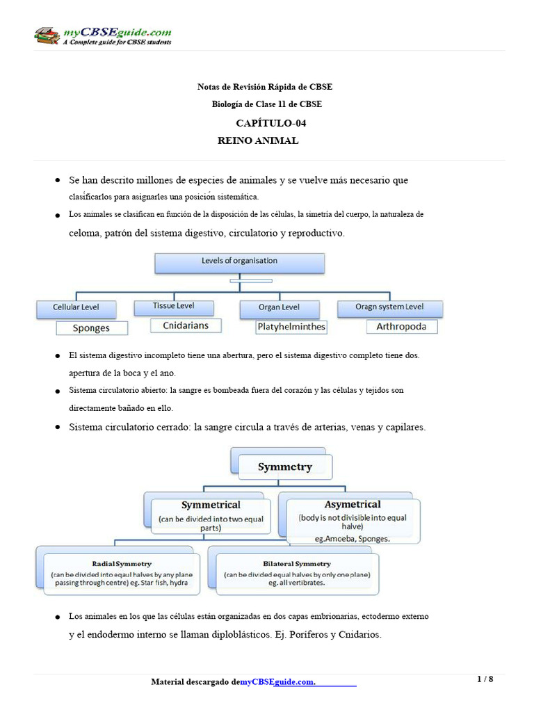 11 Notas de Biología Ch04 Reino Animal | PDF | Pescado | Vertebrados