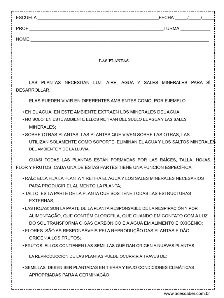 Actividad de Ciencias sobre las Plantas 4º o 5º Año | PDF | Plantas | Raíz