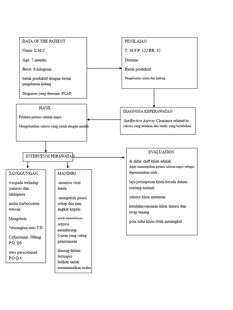 Peta Konsep Pcap | PDF