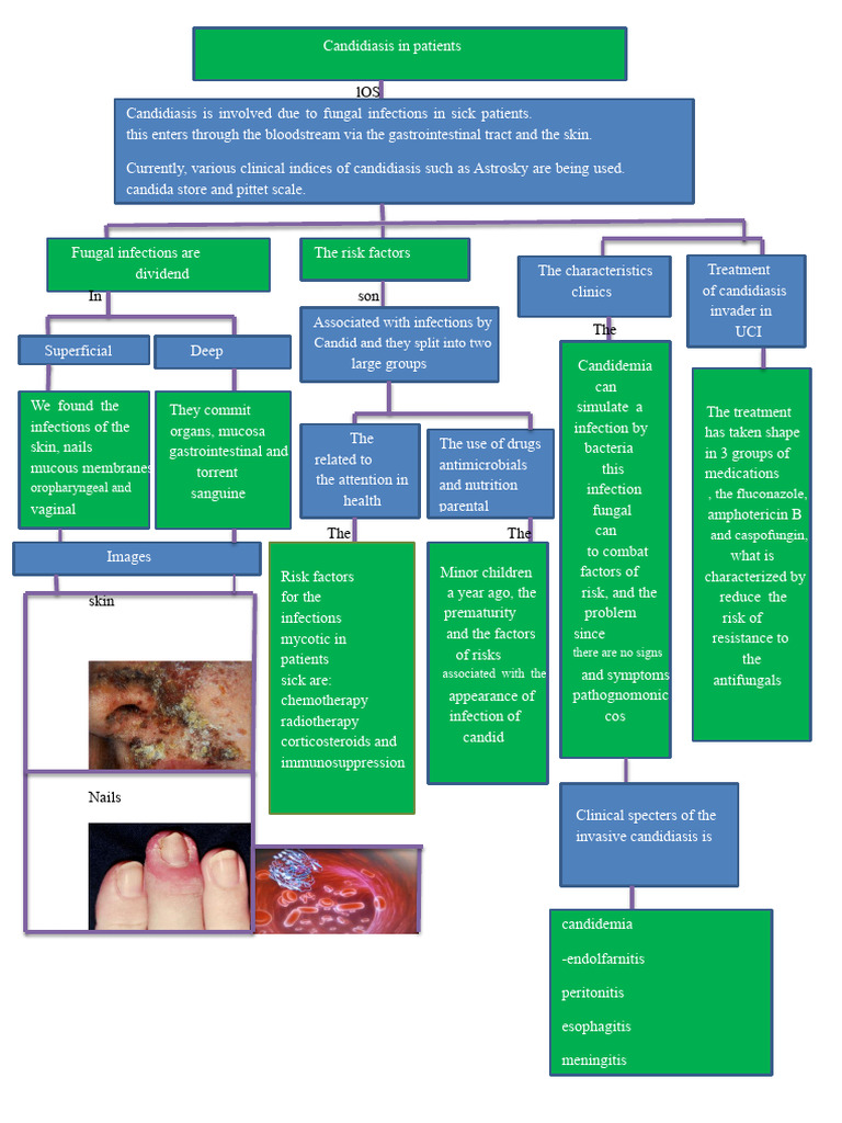 Conceptual Map of Microbiology | PDF | Candidiasis | Medical Specialties