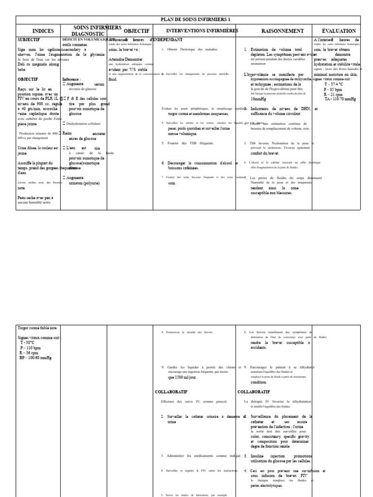 Plan de Soins Infirmiers : Hypovolémie et Nutrition | PDF | Urine ...
