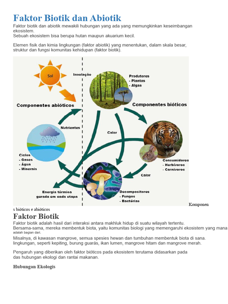Faktor Biotik dan Abiotik dalam Ekosistem | PDF