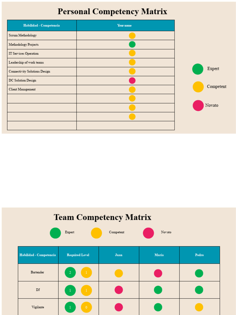 Competency Matrix | PDF