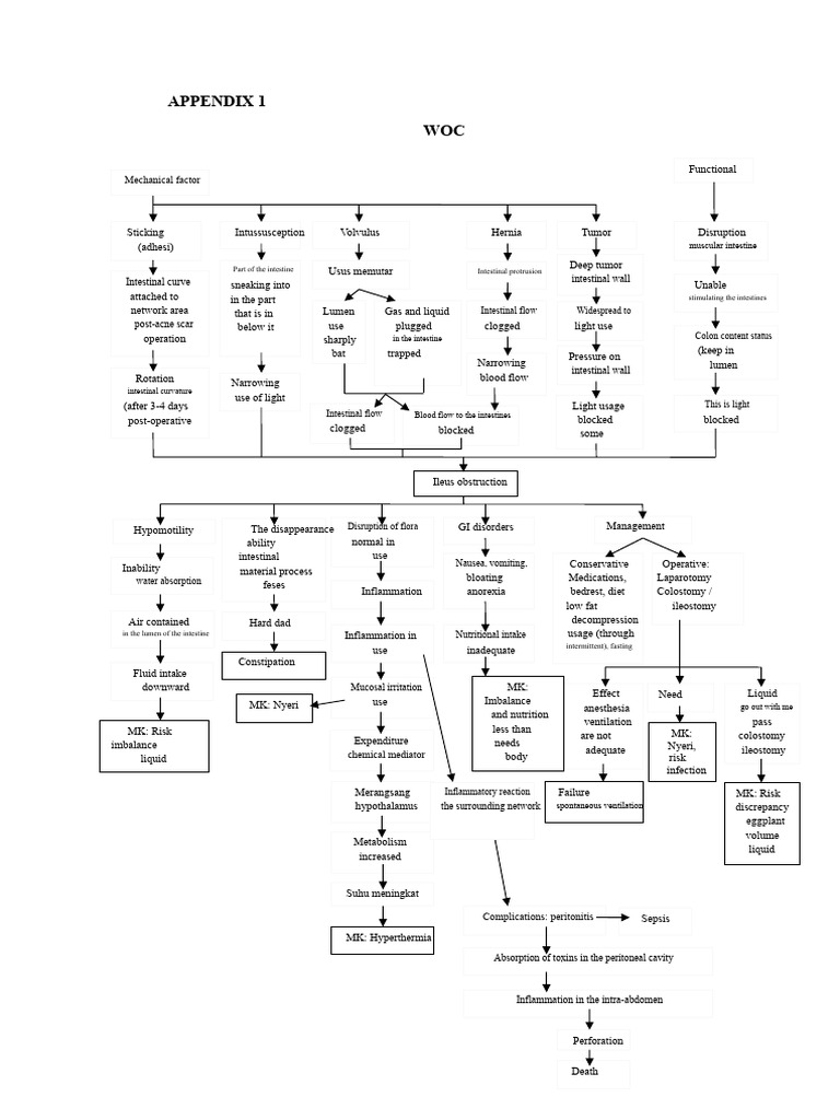 Woc Post Laparotomy | PDF | Gastrointestinal Tract | Gastroenterology