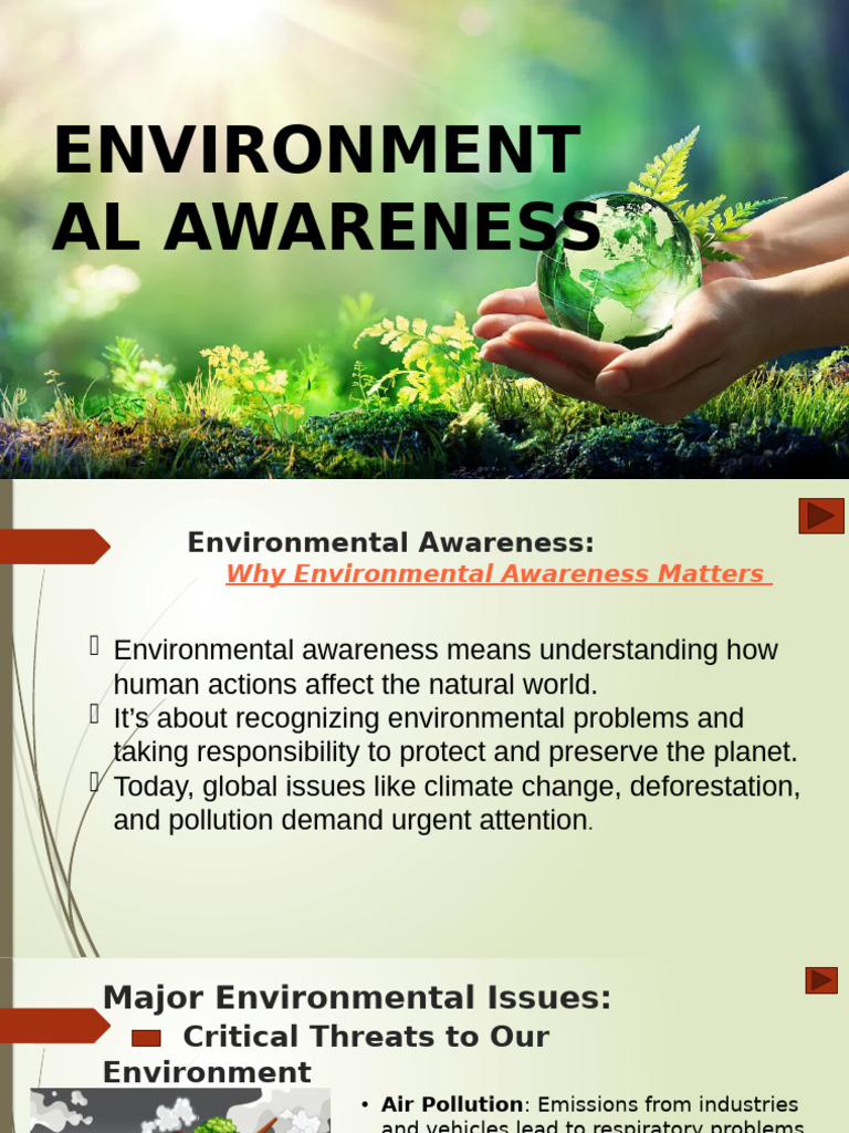 Hyperlink and Action Button | PDF