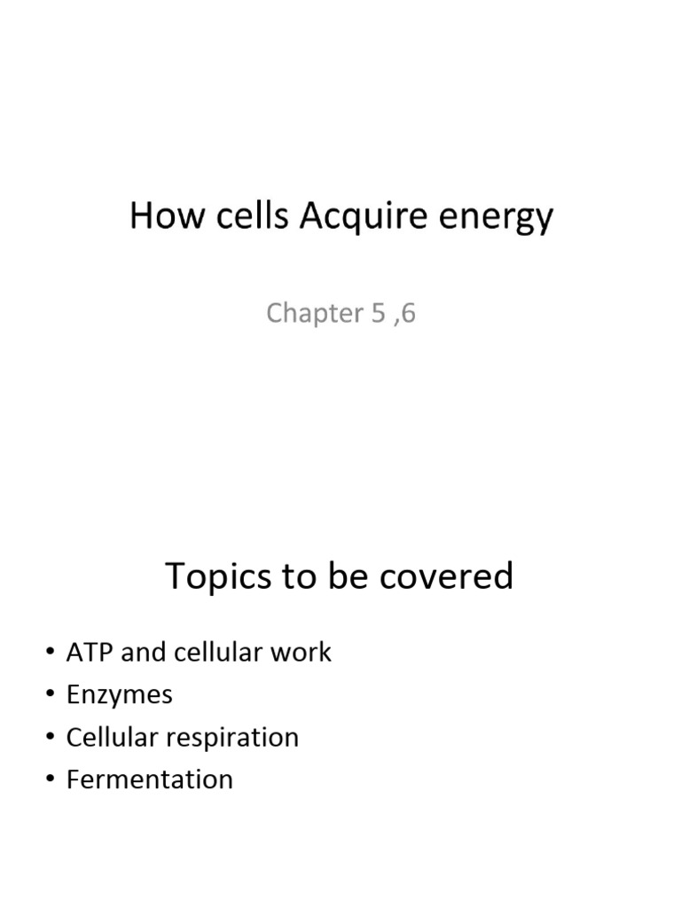 HowCellsAcquireEnergy Cellular Respiration | PDF | Cellular Respiration ...