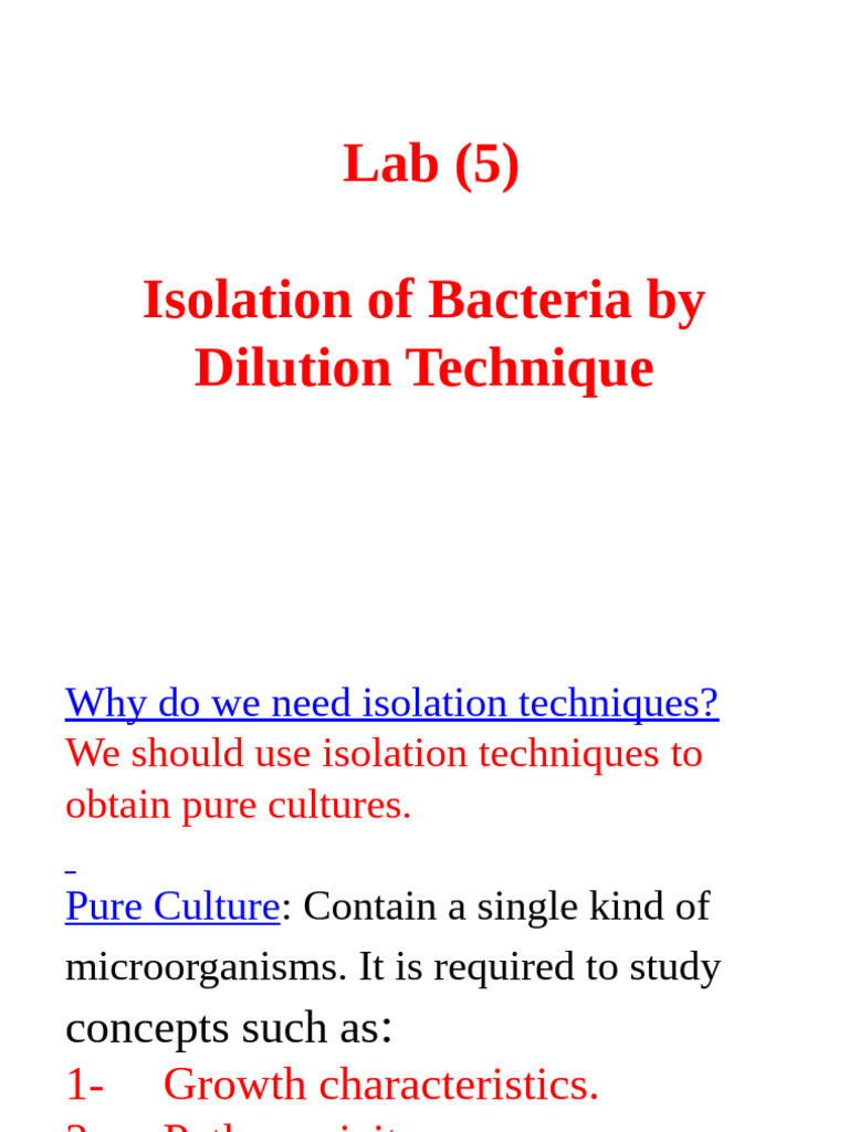 Lab 5 | PDF