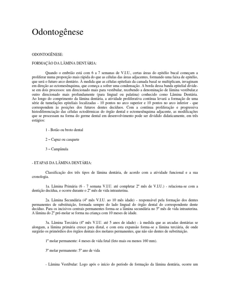 Odontogênese - Resumo | PDF | Dente | Esmalte dentário