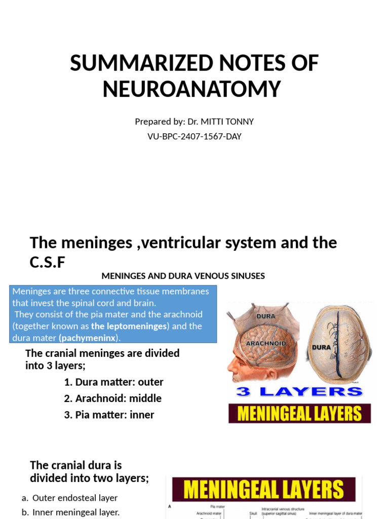 The ventricular system, meninges and the CSF | PDF | Cerebrospinal ...