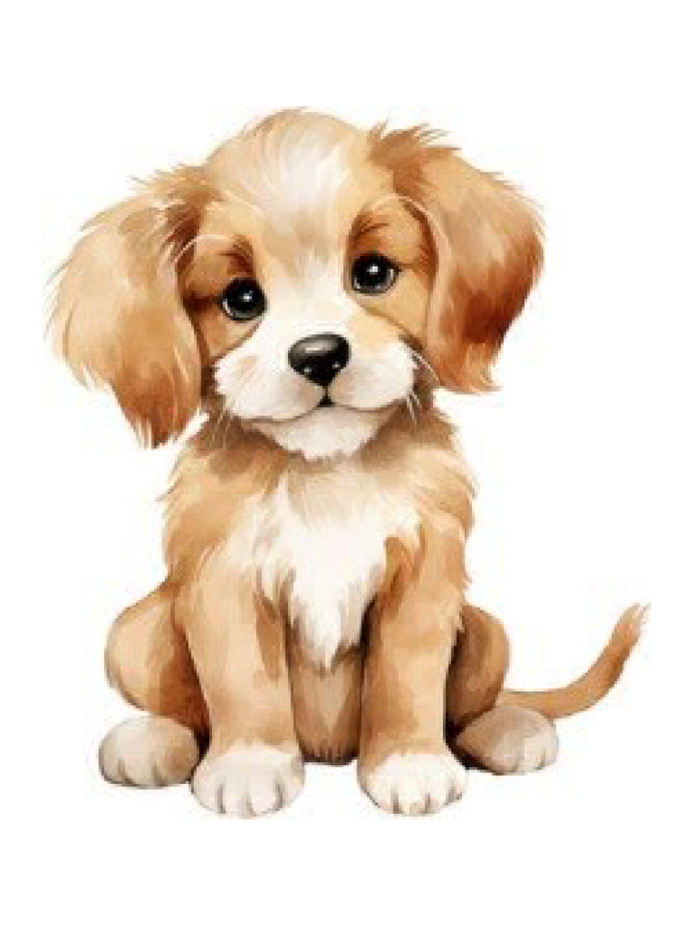 Dog | PDF