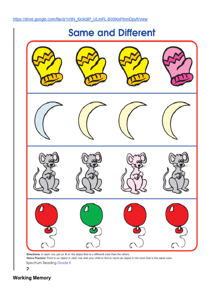 Working Memory Worksheets | PDF