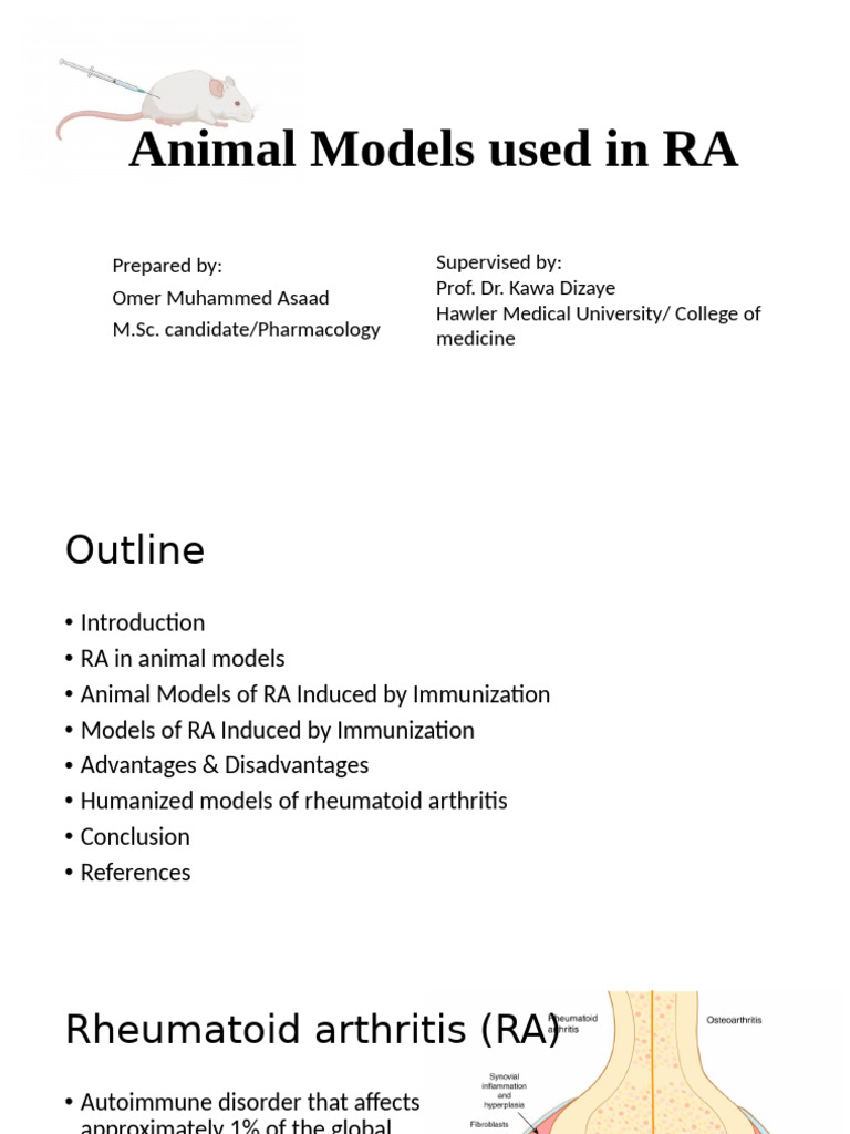 Animal Models for Rheumatoid Arthritis Research | PDF | Arthritis ...
