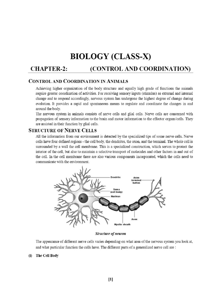 Teachmint - Best Teaching Platform - Teach Online & Manage Classroom Efficiently | PDF