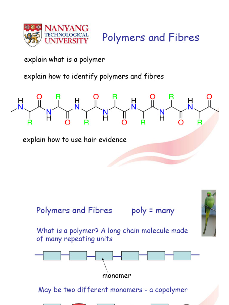 Polymers Fibres NTU Learn 2020 | PDF | Polymers | Proteins