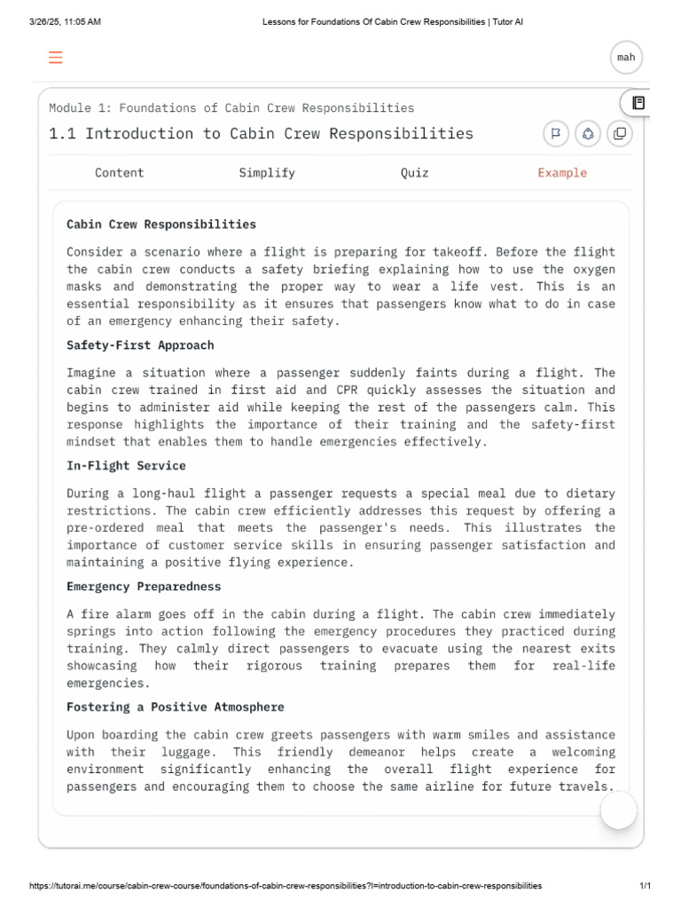 Lessons For Foundations of Cabin Crew Responsibilities - Tutor AI 1 | PDF