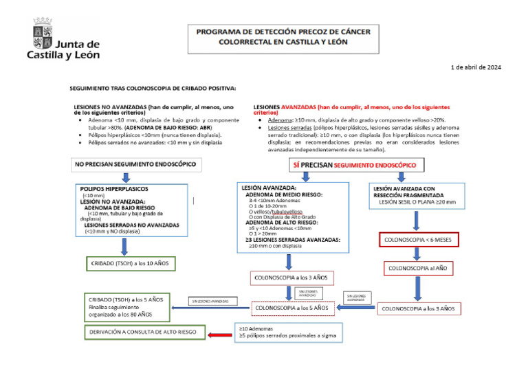 2689707-Protocolo Colonoscopias TSOH Positivo en CCR - Estrategia 2024 ...