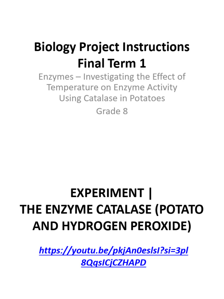 (Biology Project G8) Enzymes Catalase Experiment | PDF