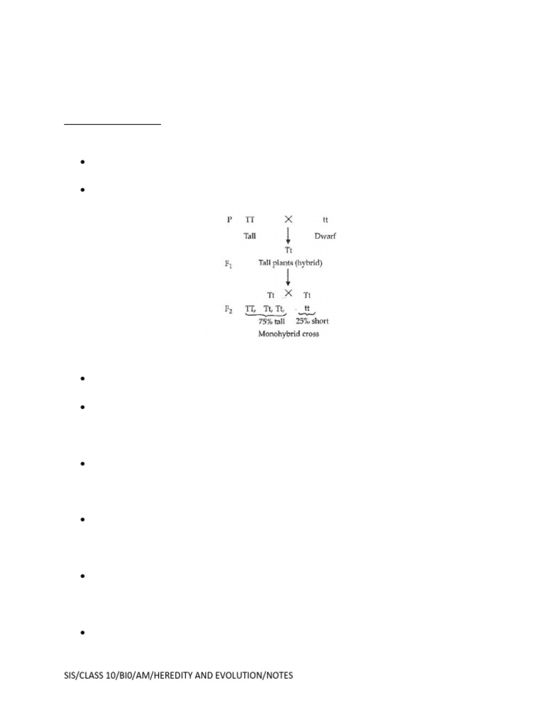 Heredity and Evolution Notes Part 2 | PDF | Biology | Genetics