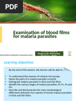 Blood Film Comment and Analysis Guide | PDF | Anemia | White Blood Cell