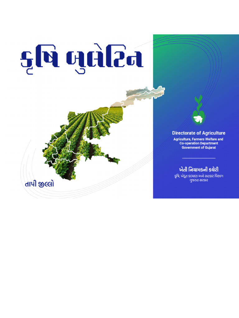 Tapi District | PDF