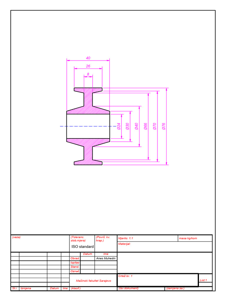 Anes Dokumentacija Model | PDF