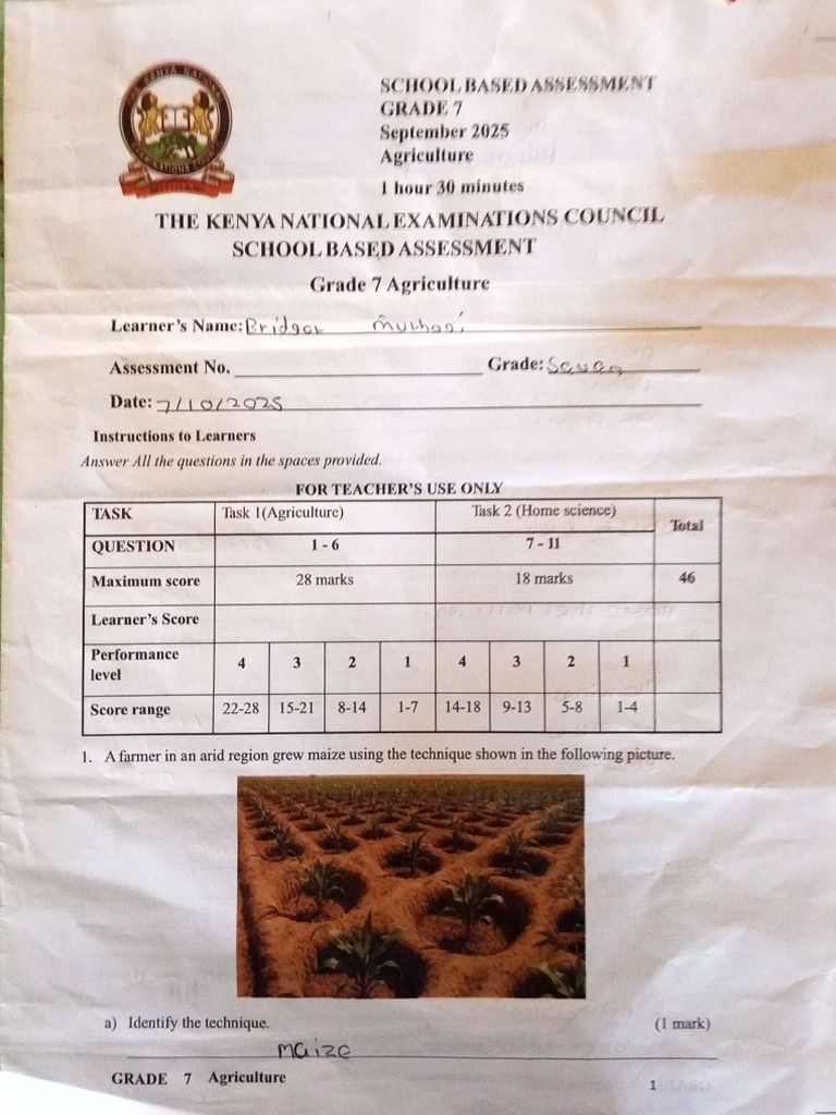 Grade 7 Agriculture | PDF