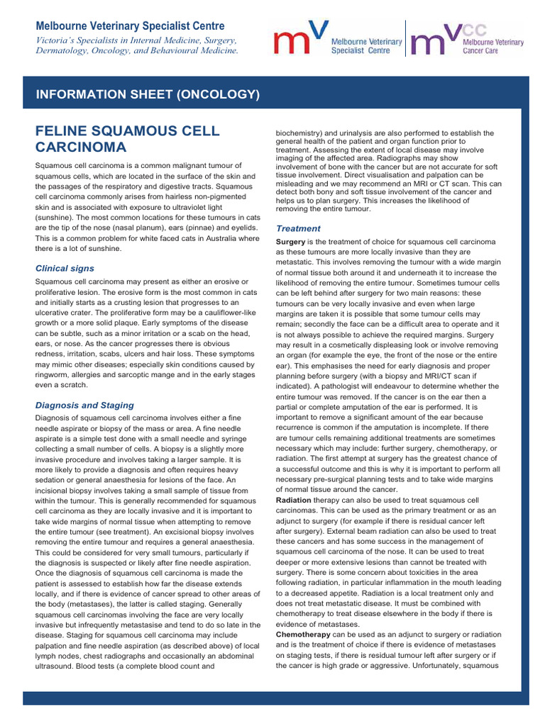 Feline Squamous Cell Carcinoma | PDF | Biopsy | Cancer