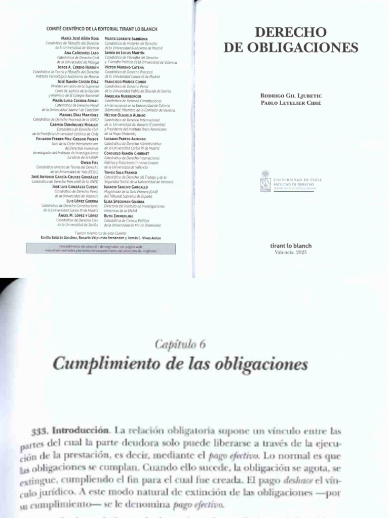 Cap VI | PDF
