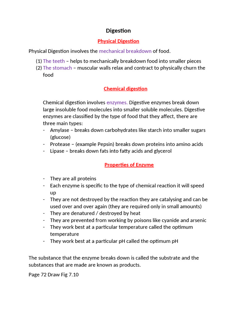 Understanding Digestion: Types & Enzymes | PDF