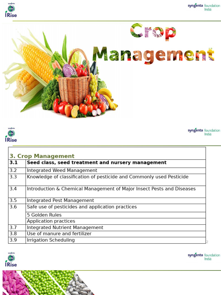 3.1 Seed Class, Seed Treatment Corrected | PDF | Seed | Plant Nursery