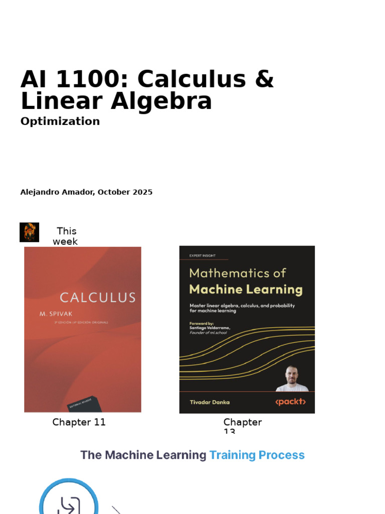 AI 1100: Optimization in Calculus | PDF