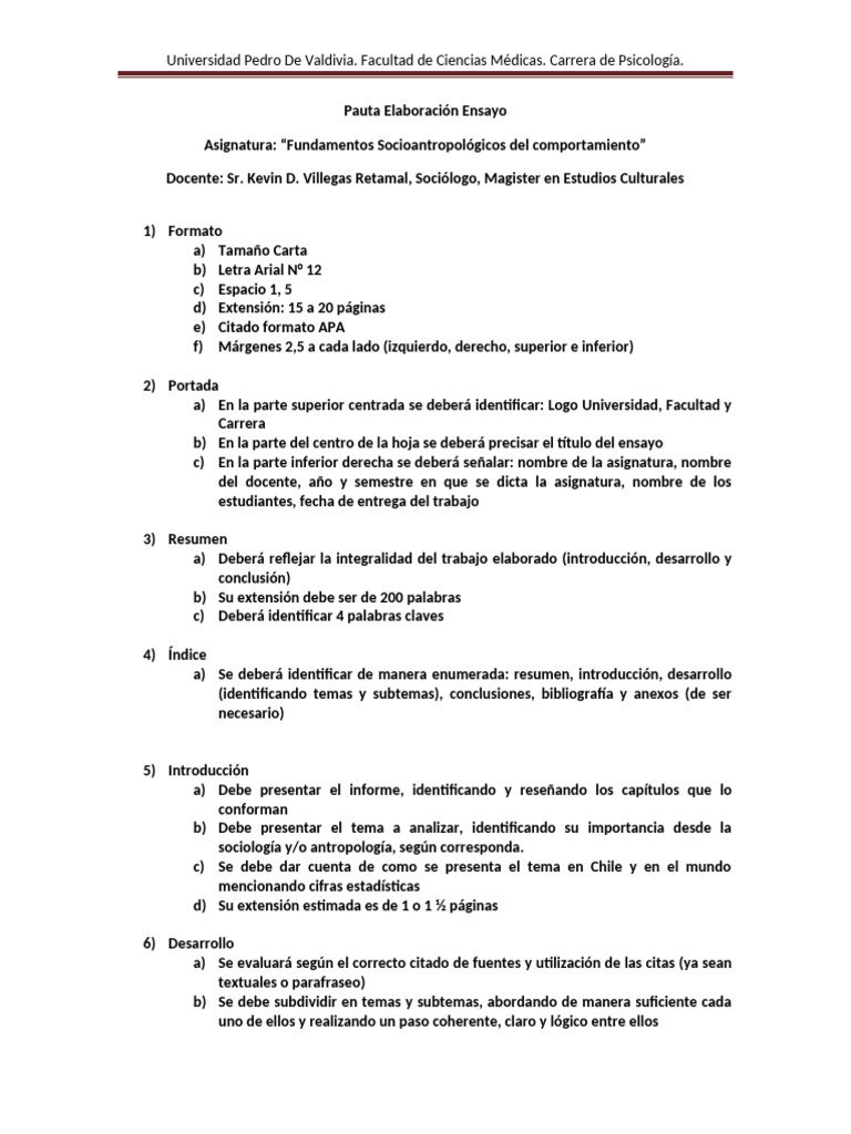 Pauta Ensayo | PDF