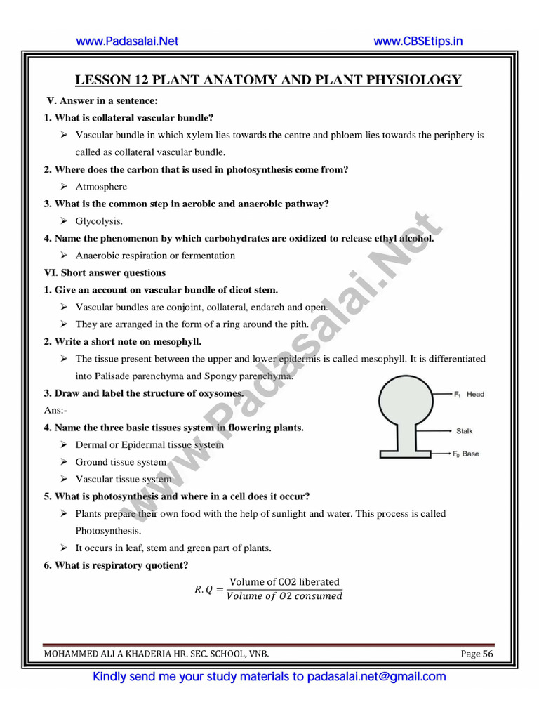 10th Science EM Full Study Materials English Medium PDF Download | PDF