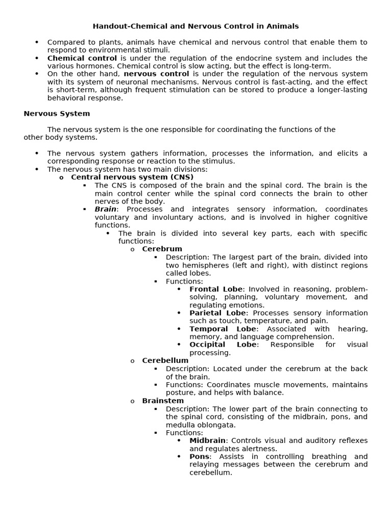 Handout The Nervous and Endocrine Systems | PDF | Nervous System ...