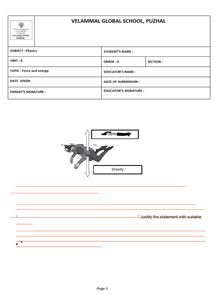 Grade 6 Physics Worksheet: Force & Energy | PDF | Buoyancy | Weight